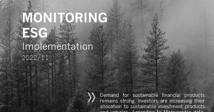 ESG-Monitoring